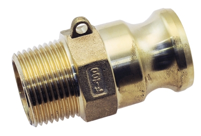 Vale® Brass Type F Plug NPT - Pipemore