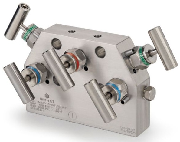 HAM-LET Astava 5 Way Direct Mount Manifold NPT Connection - Pipemore